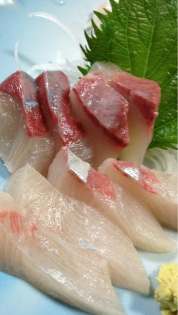 口コミ一覧 : 【閉店】光藤旅館 - 今治市その他/料理旅館 [食べログ]