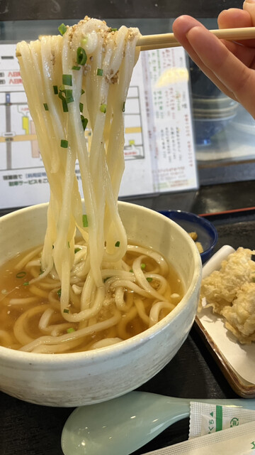 本格手打うどん あらた - 八王子/うどん | 食べログ
