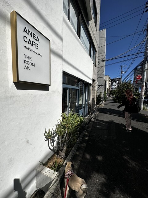 外観写真 : anea cafe 松見坂 （アネア カフェ） - 神泉/カフェ | 食べログ