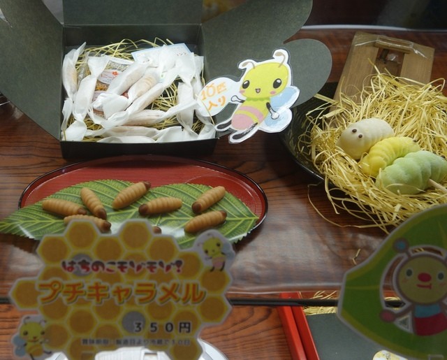 閲覧注意！】昆虫がリアルすぎて怖～いケーキ（秋田県横手市 小松屋本店/喫茶ら・りるれろ）』by natchan72 : 小松屋本店 - 横手 ...