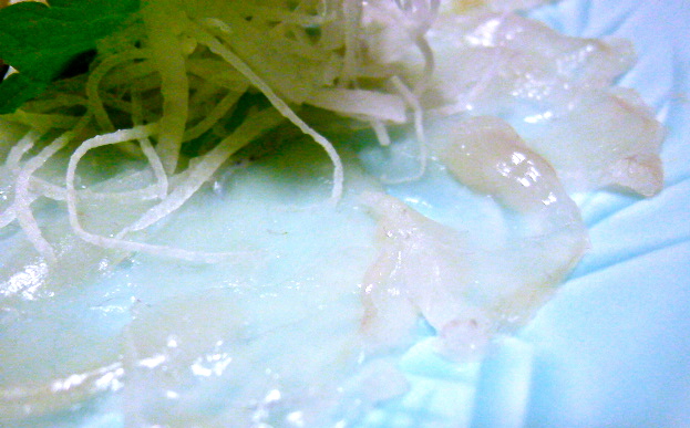 【移転】おかざわ - 和歌山/日本料理 | 食べログ