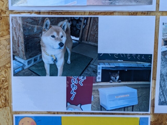 『代替わり』by mir777 : 犬のやきいも屋さん - 福住/スイーツ [食べログ]