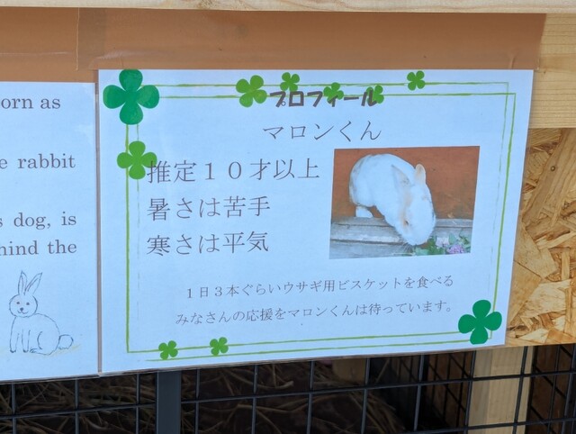 『代替わり』by mir777 : 犬のやきいも屋さん - 福住/スイーツ [食べログ]