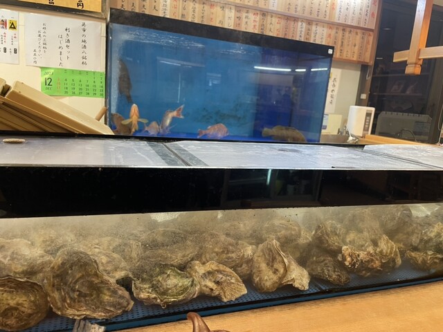 すし活 - 呉/寿司 | 食べログ