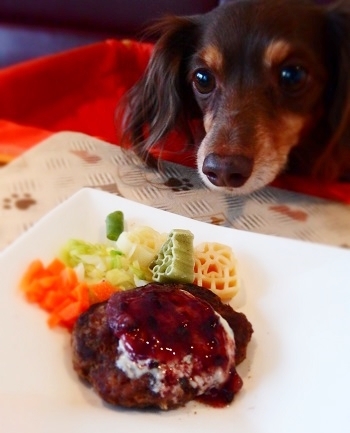 【閉店】ジョーカーズダイニング ららぽーと柏の葉店 - 柏の葉キャンパス/レストラン | 食べログ