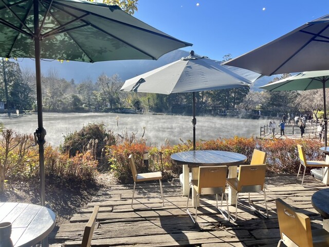 CAFE LA RUCHE （カフェ・ラ・リューシュ） - 由布院/カフェ | 食べログ