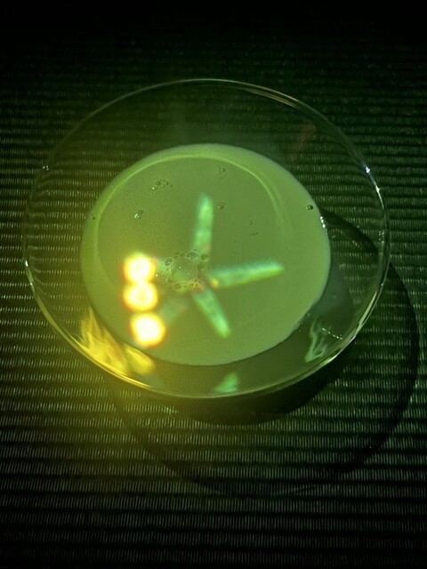 EN TEA HOUSE 幻花亭 チームラボボーダレス麻布台ヒルズ （エンティハウス ゲンカテイ） - 神谷町/カフェ | 食べログ