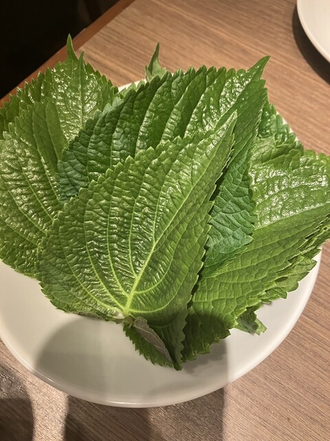 『KollaBo』by シオシュン : 焼肉・韓国料理 KollaBo 横浜ベイクォーター店 （コラボ） - 横浜/焼肉 [食べログ]