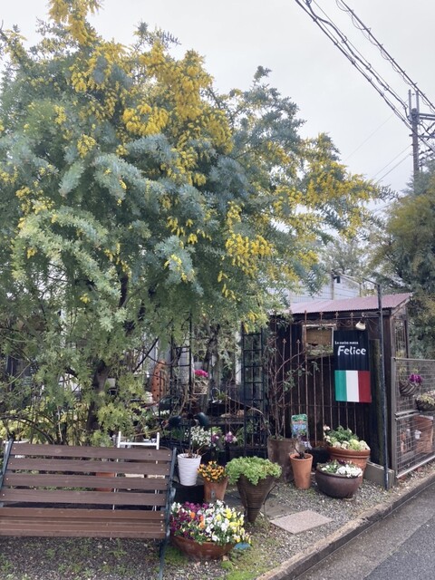 ラ クッチーナ マッサ フェリーチェ （La cucina massa Felice） - 初芝/イタリアン | 食べログ