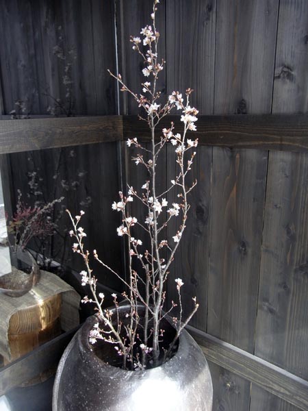 内観写真 : 白州手打ち蕎麦 くぼ田 - 長坂/そば | 食べログ