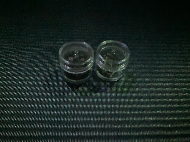 EN TEA HOUSE 幻花亭 チームラボボーダレス麻布台ヒルズ （エンティハウス ゲンカテイ） - 六本木一丁目/カフェ | 食べログ