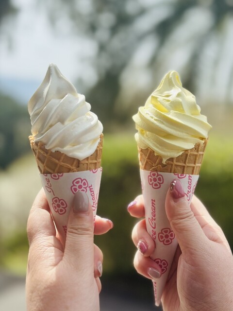 Kitchen・218 （キッチン ニイイチハチ） - 川奈/食堂 | 食べログ