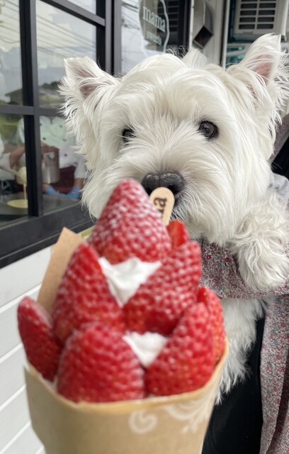 mama sweets （ママ スイーツ） - 遠賀川/クレープ・ガレット | 食べログ