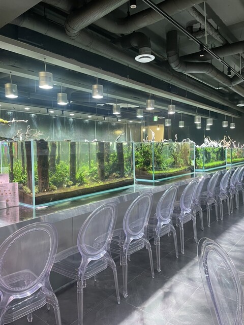 AQUA GARDEN KYOTO （アクア ガーデン） - 京都市役所前/カフェ | 食べログ