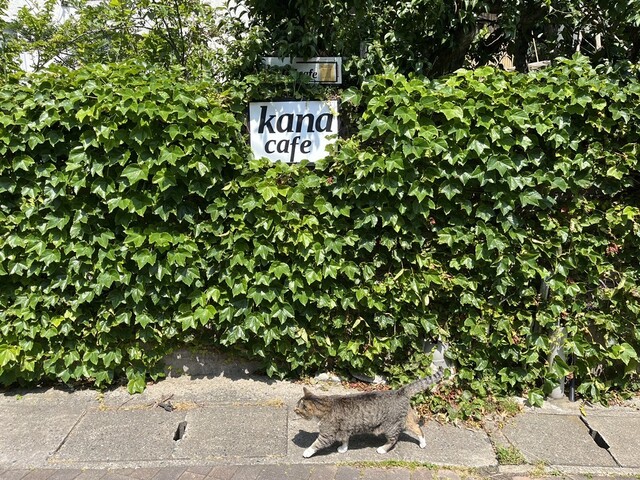 kana cafe （カナカフェ） - 戸畑/カフェ | 食べログ