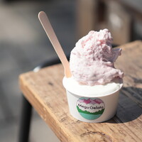 by foortune_3_42 : Megu Gelato （メグ ジェラート） - 相模原市その他/ジェラート・アイスクリーム [食べログ]