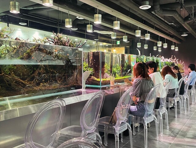 AQUA GARDEN KYOTO （アクア ガーデン） - 京都市役所前/カフェ | 食べログ