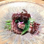 STUN - 京橋/イノベーティブ | 食べログ