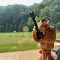 『厳選2種』by elu-mo : アルトラーチェ （ARTLACZE） - 北広島/ジェラート・アイスクリーム [食べログ]