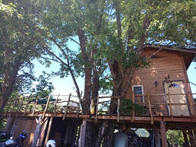 Cafe KaZe （カフェ カゼ） - 木曽町その他/カフェ | 食べログ