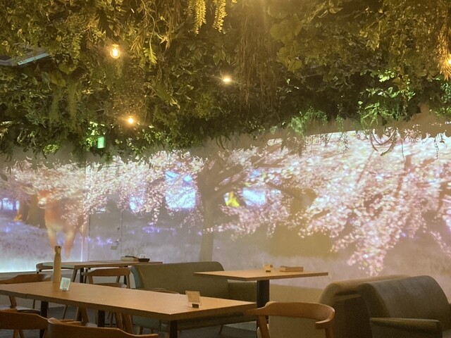 aruhi_morinonaka （アルヒ モリノナカ） - 立町/カフェ | 食べログ