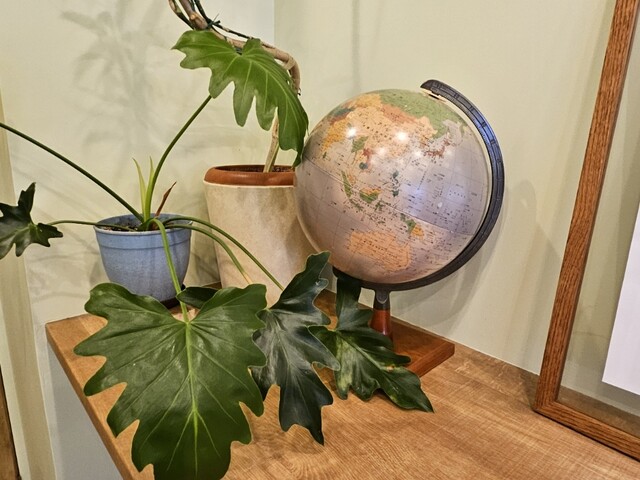 MOJO STAND （モホ スタンド） - 相模大野/サンドイッチ | 食べログ