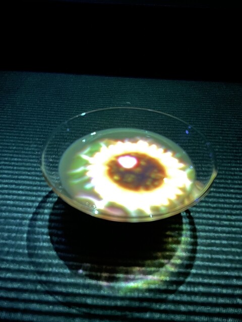 EN TEA HOUSE 幻花亭 チームラボボーダレス麻布台ヒルズ （エンティハウス ゲンカテイ） - 六本木一丁目/カフェ | 食べログ