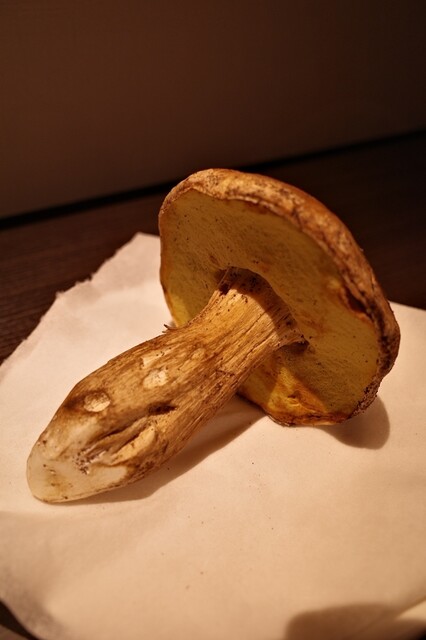 DA ADRIAN （ダアドリアン） - 矢場町/イタリアン/ネット予約可 | 食べログ