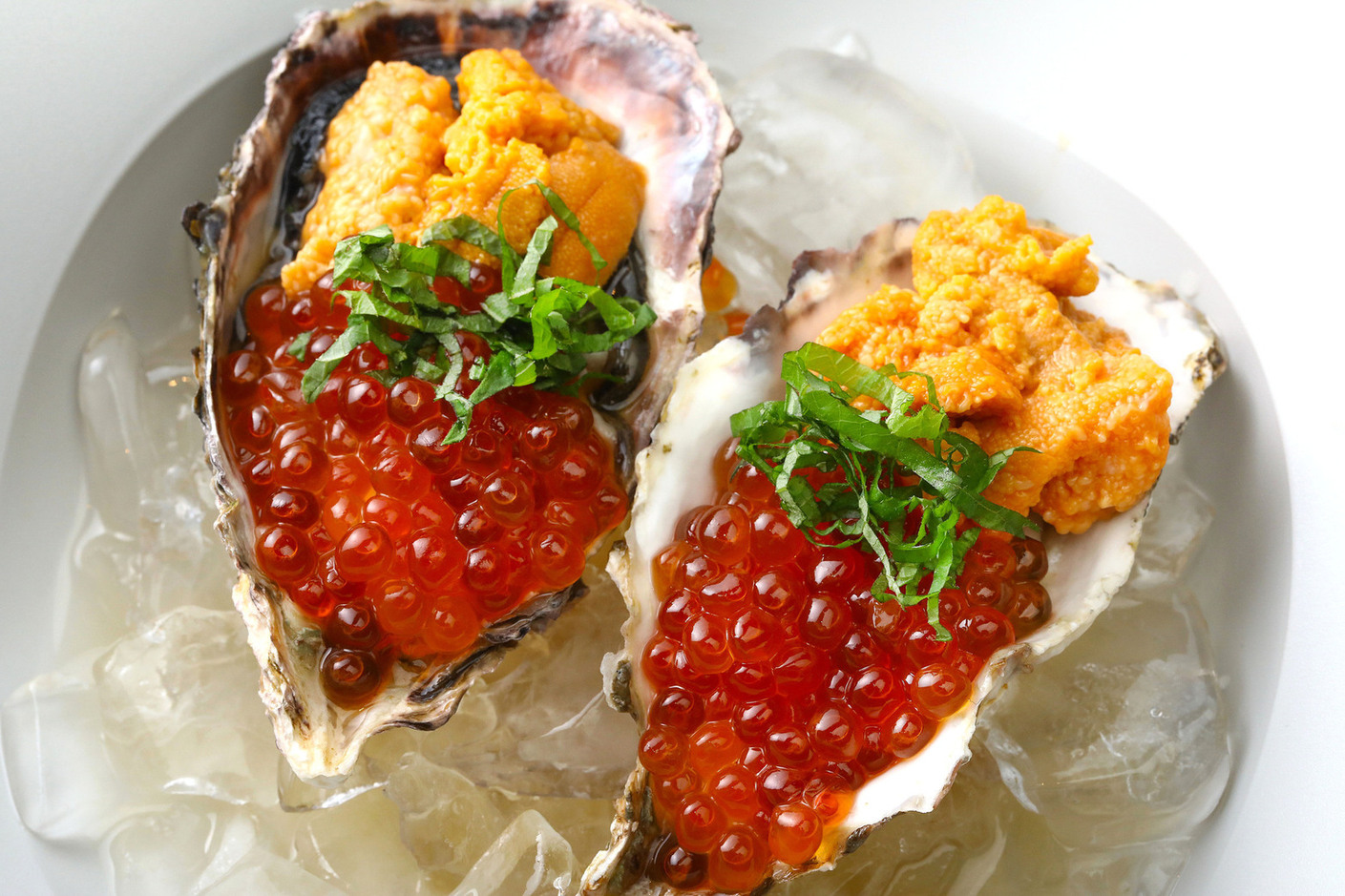 Kaki to Seafood Tsuufuya Bar - Seafood. Izakaya in Akihabara Tokyo ...