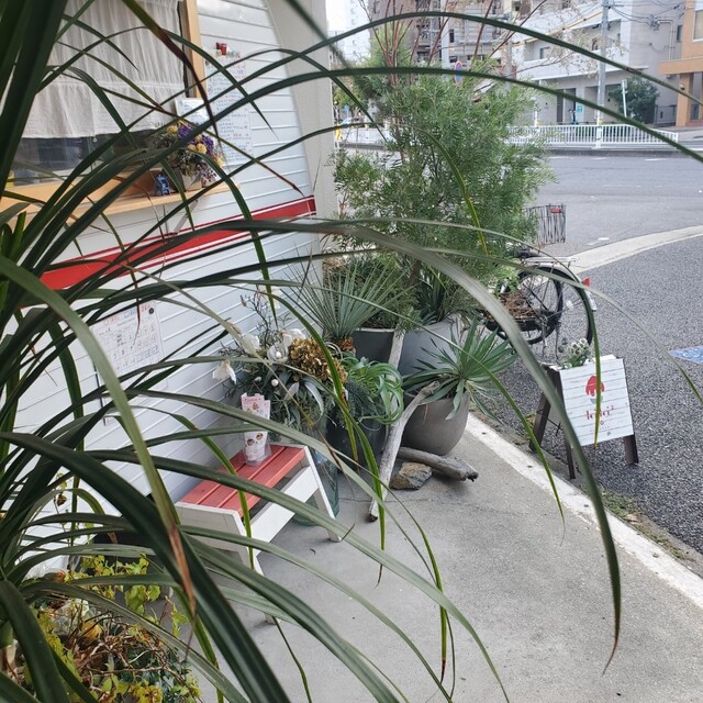 kiki do （キキ ドゥ） - 大曽根/かき氷 | 食べログ