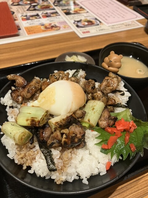 炭火焼と鍋料理 たちばな 阿倍野本店のご予約 - 天王寺駅前/居酒屋 | 食べログ