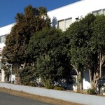 BASEL CAKE FACTORY （バーゼル ケーキ ファクトリー） - 西八王子/ケーキ | 食べログ