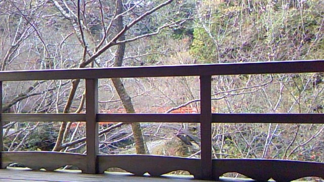 口コミ一覧 : 指月亭 （しげつてい） - 京都市右京区その他/海鮮 [食べログ]