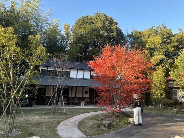 reimei cafe - 久喜/カフェ | 食べログ
