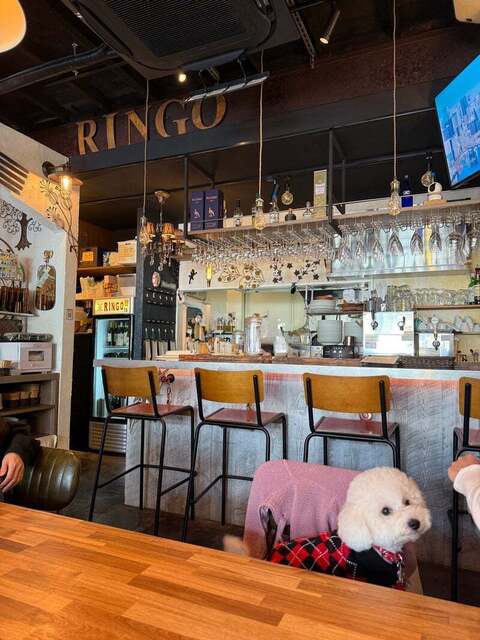 RINGO DINING - 芝公園/ダイニングバー | 食べログ