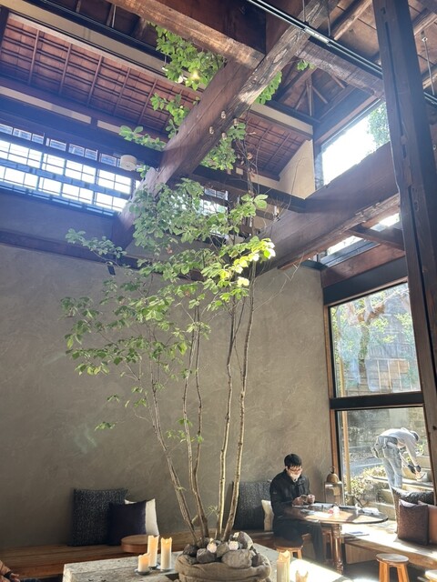 RoheN HAKONEYUMOTO cafe&bar （ロヘン ハコネユモト カフェ&バー） - 箱根湯本/カフェ | 食べログ