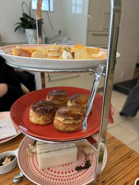 by k-lov643 : afternoon TEA afternoon ALCOHOL （アフタヌーンティー アフタヌーンアルコール ...