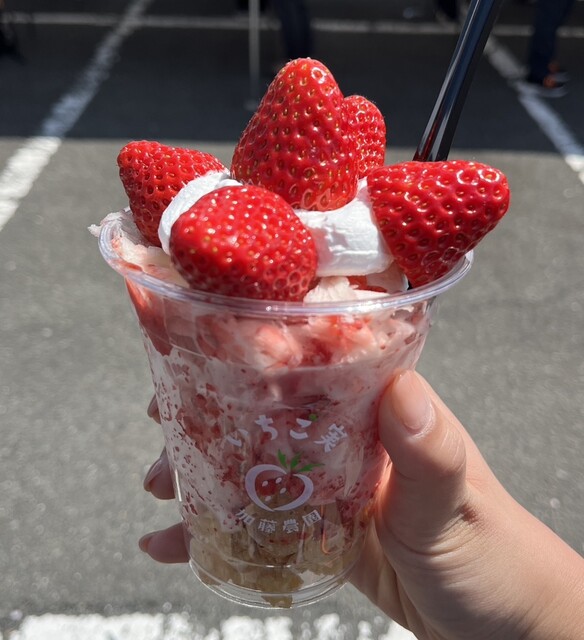 IAIスタジアム日本平 （アイエーアイスタジアムニホンダイラ） - 桜橋/その他 | 食べログ