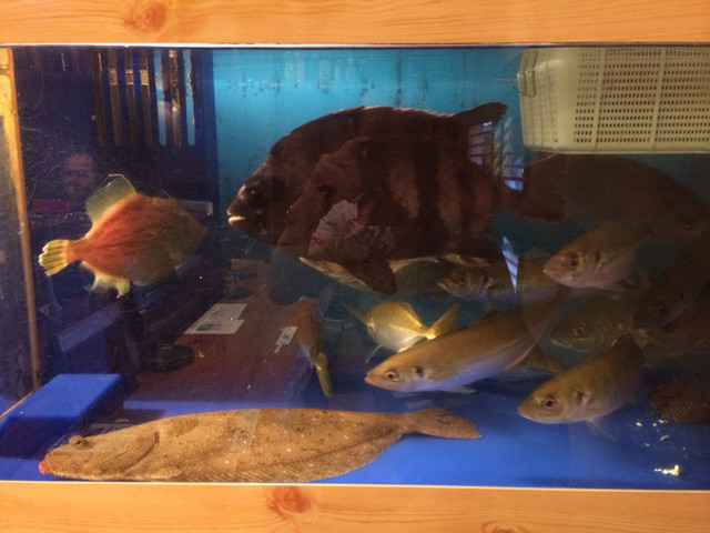 萬座 - 綾羅木/レストラン | 食べログ