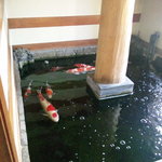 内観写真 : 御殿川 （ごてんがわ） - 大場/うなぎ [食べログ]