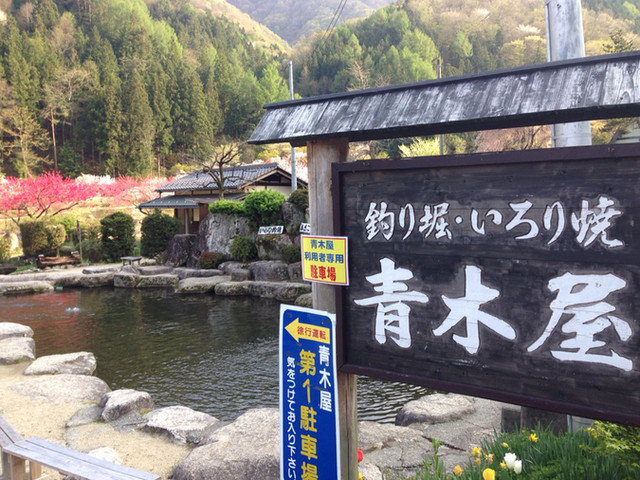 写真 : 青木屋 - 時又/海鮮 | 食べログ