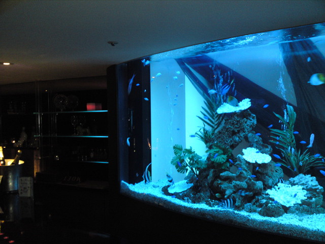 内観写真 : バー ウィステリア （BAR WISTERIA） - 櫛田神社前/バー | 食べログ