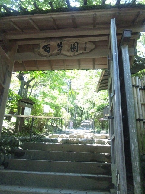 【閉店】百草園 松連庵 （しょうれんあん） - 百草園/甘味処 | 食べログ