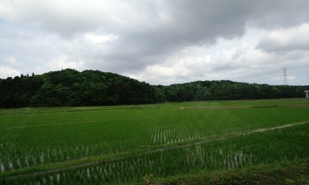 『佐原の隠れ家イタリアン「ライステラス」』by naho : ライス・テラス - 香取/創作料理 [食べログ]