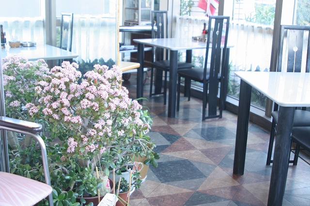 写真 : ランチ＆カフェはる - 佐古/カフェ | 食べログ