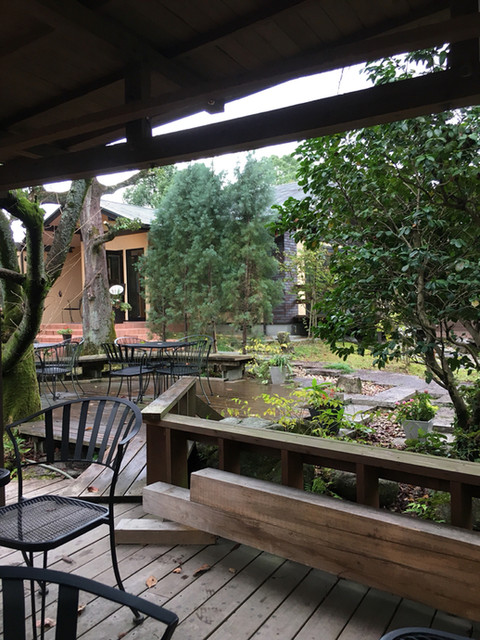 写真 : ハナカフェ （HANAcafe'） - 弥生が丘/カフェ | 食べログ