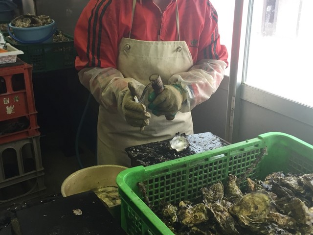 写真 : 百蔵食堂 名鉄岐阜駅前店 （モモクラショクドウ【旧店名】かき小屋 百蔵） - 名鉄岐阜/定食・食堂 | 食べログ