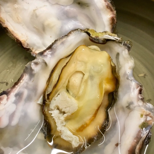 料理写真 : 酔心 ekie 広島店 - 広島/郷土料理 | 食べログ