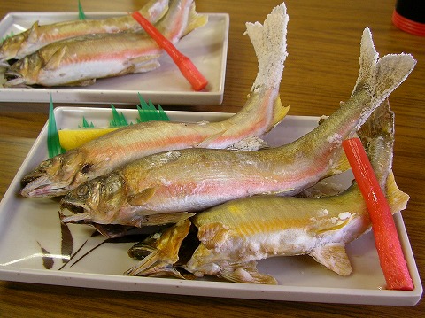 【移転】観光やな - 黒磯/レストラン | 食べログ