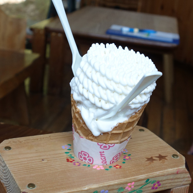 料理写真 : ついんスター - 菊池市その他/ジェラート・アイスクリーム | 食べログ